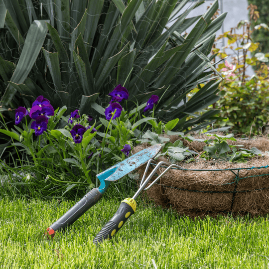 Guida al giardinaggio per principianti: Consigli e tecniche per ...